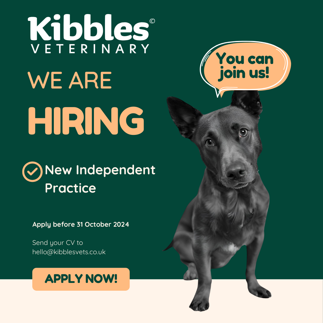 Become a part of the Kibbles Team! Take a look at our current vacancies ...